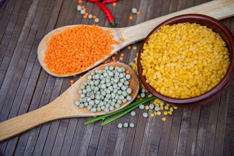 Les légumineuses ou légumes secs : qu’est-ce que c’est ? Liste complète ...